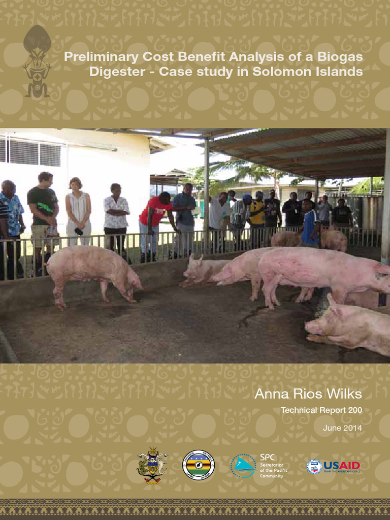 Preliminary Cost Benefit Analysis of A Biogas Digester - Case Study | PDF | Anaerobic Digestion ...