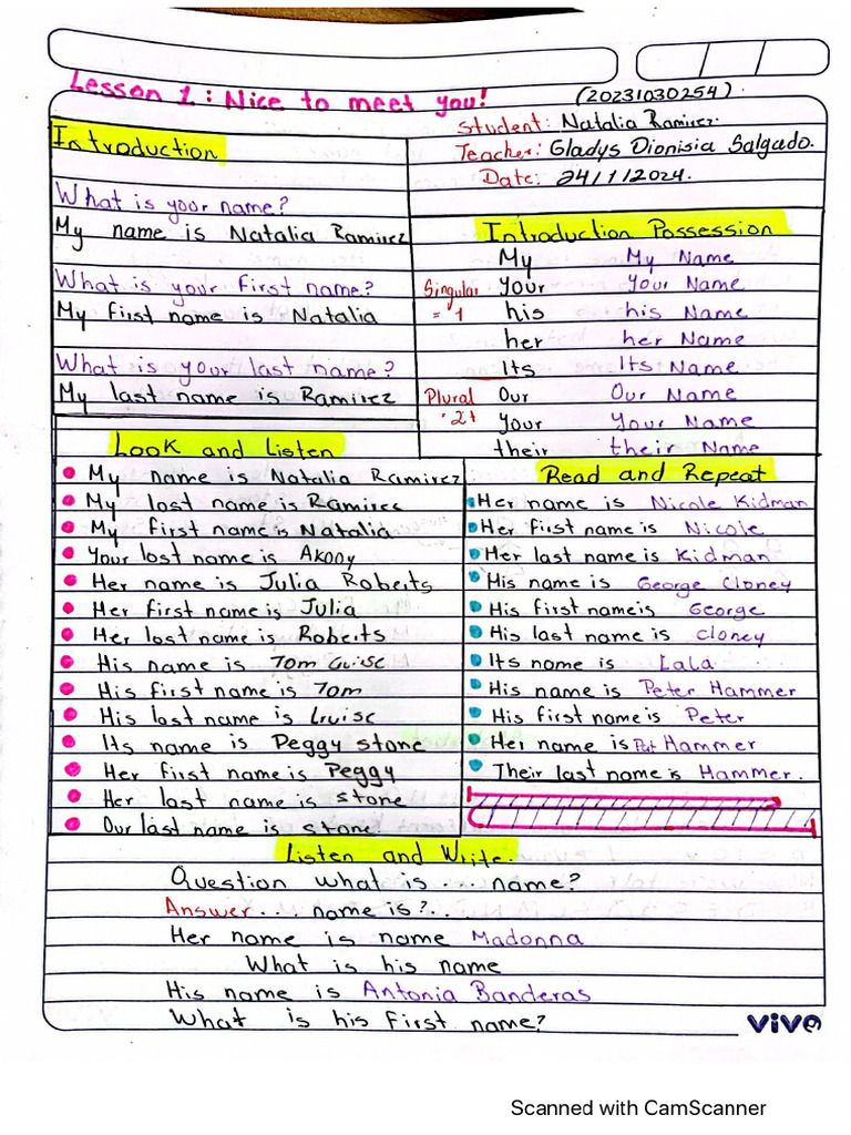 Ingles 1, Nice To Meet You | PDF