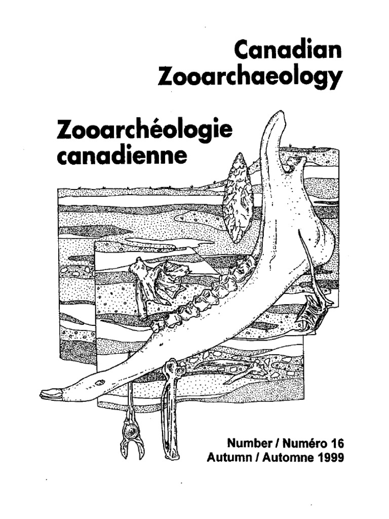 Bones of Known-Aged Beaver and Bear - A Photo Essay | PDF