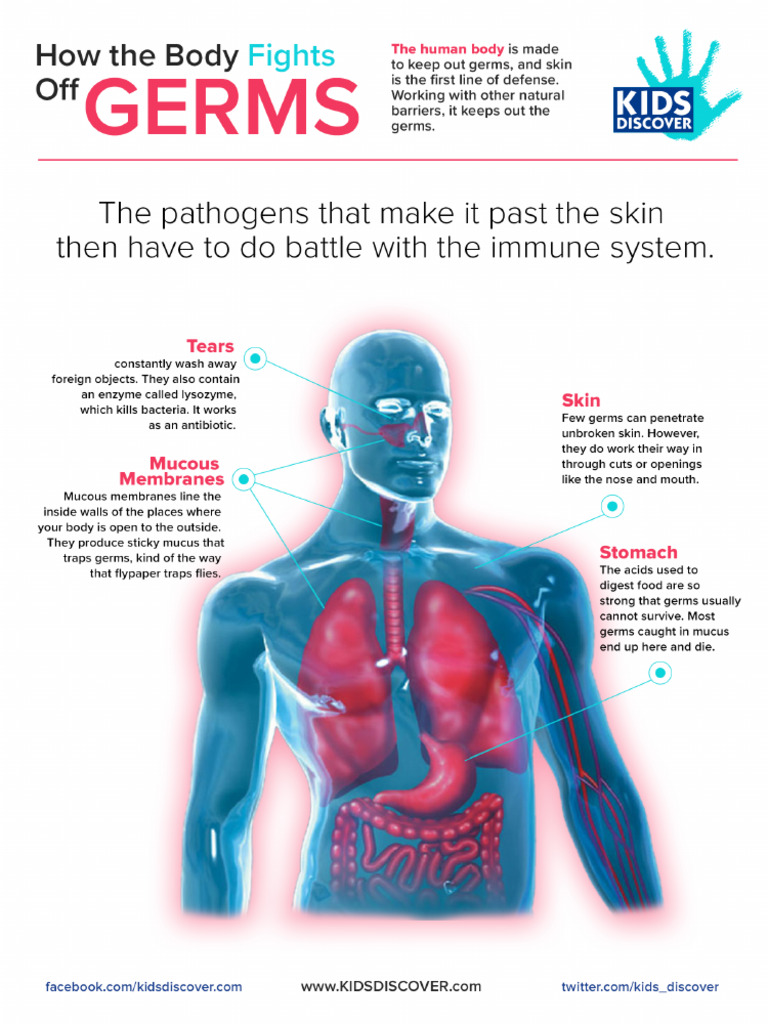 KIds Discover Infographic How The Body Fights Off Germs | PDF