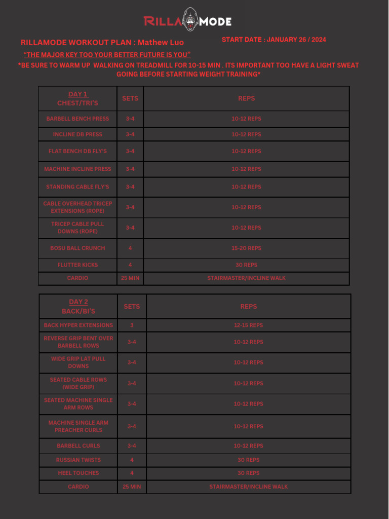 Mathew Luo Workout Plan (Month 1) | PDF | Physical Exercise | Weight ...