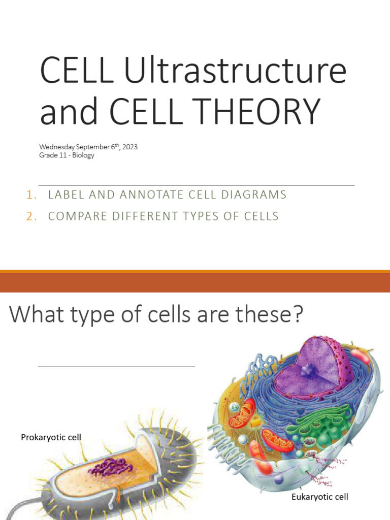 11 - Biology - 230906 - Cell Classification Cell Theory | PDF | Cell (Biology) | Organisms