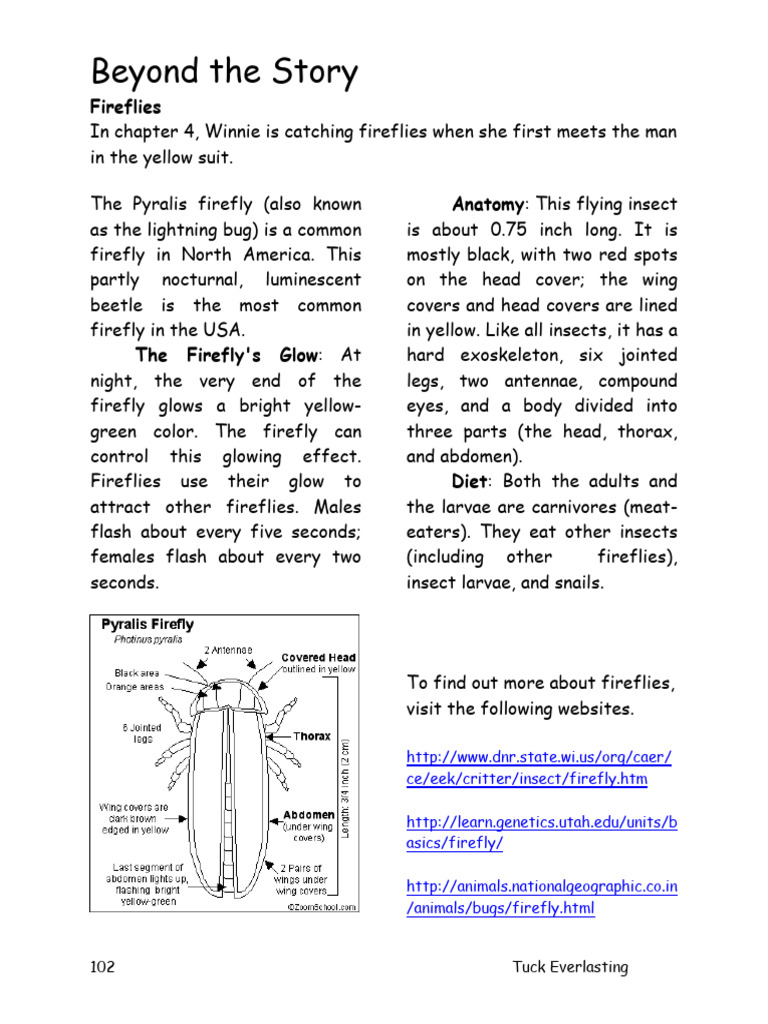 Tuck-Everlasting-Study-Guide2 (1) - 102 | PDF