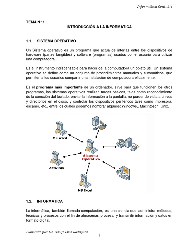 Texto de Informatica Contable | PDF | Informática | Hardware de la ...