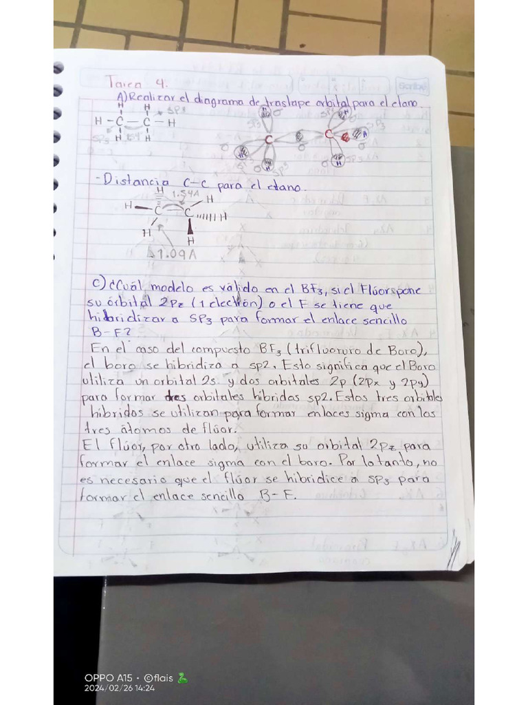 IMG20240226142458 | PDF