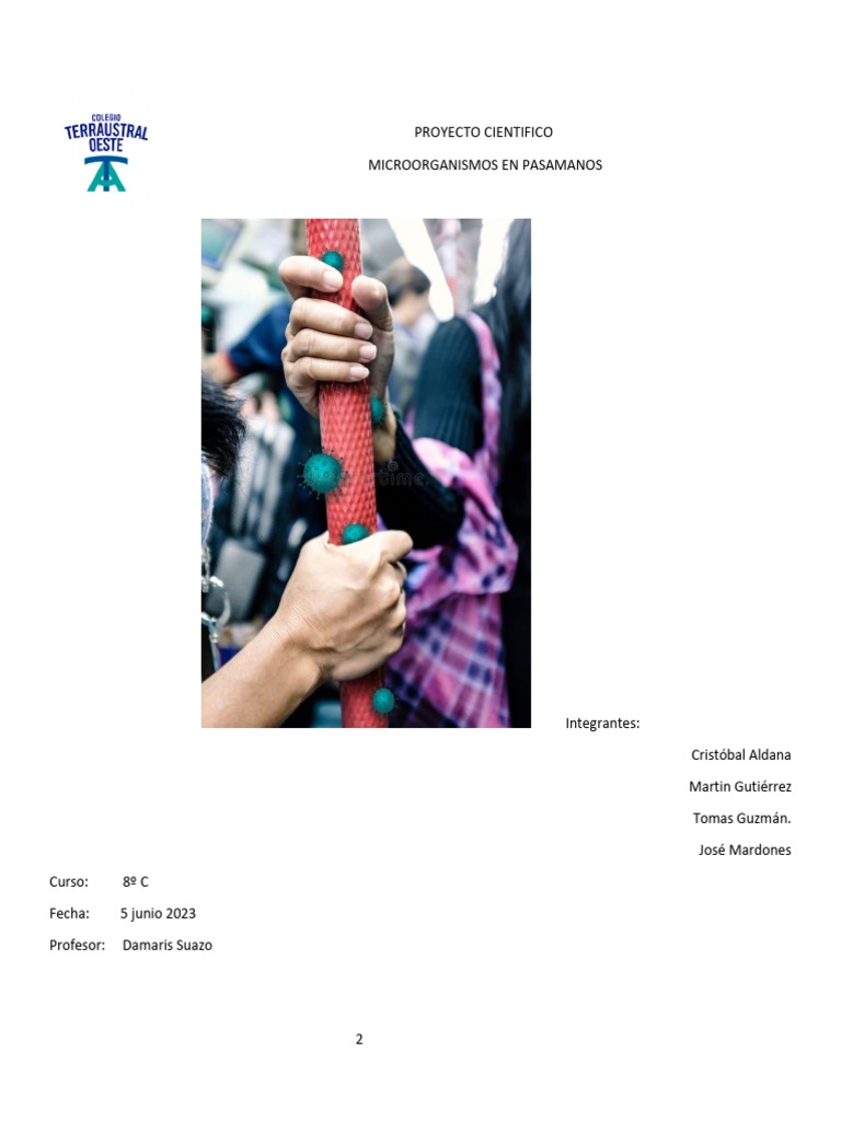 Pre-Entrega Proyecto Cientifico | PDF | Microorganismo | Las bacterias