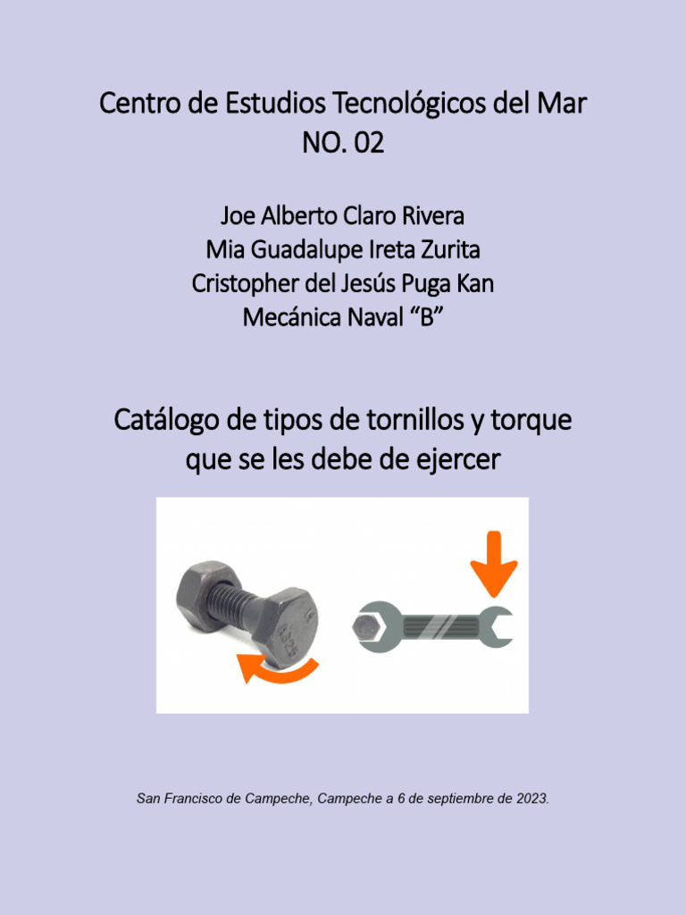 Catalogo de Tornillos y Tuercas | PDF | Tornillo | Metalurgia