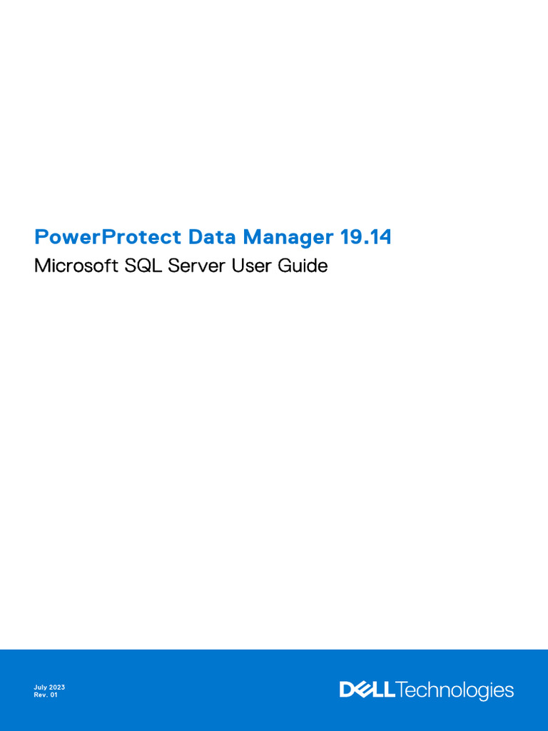 Manual47350010 Powerprotect Data Manager 19 14 Microsoft Sql Server User Guide Pdf Databases