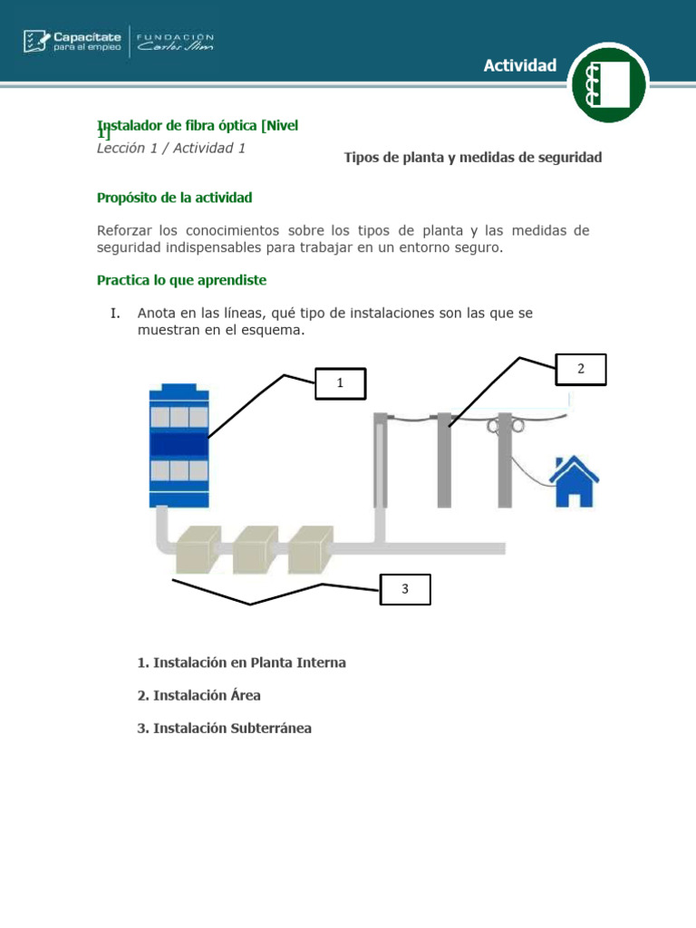 Actividad1 Tipos de Planta y Medidas de Seguridad Realizado | PDF