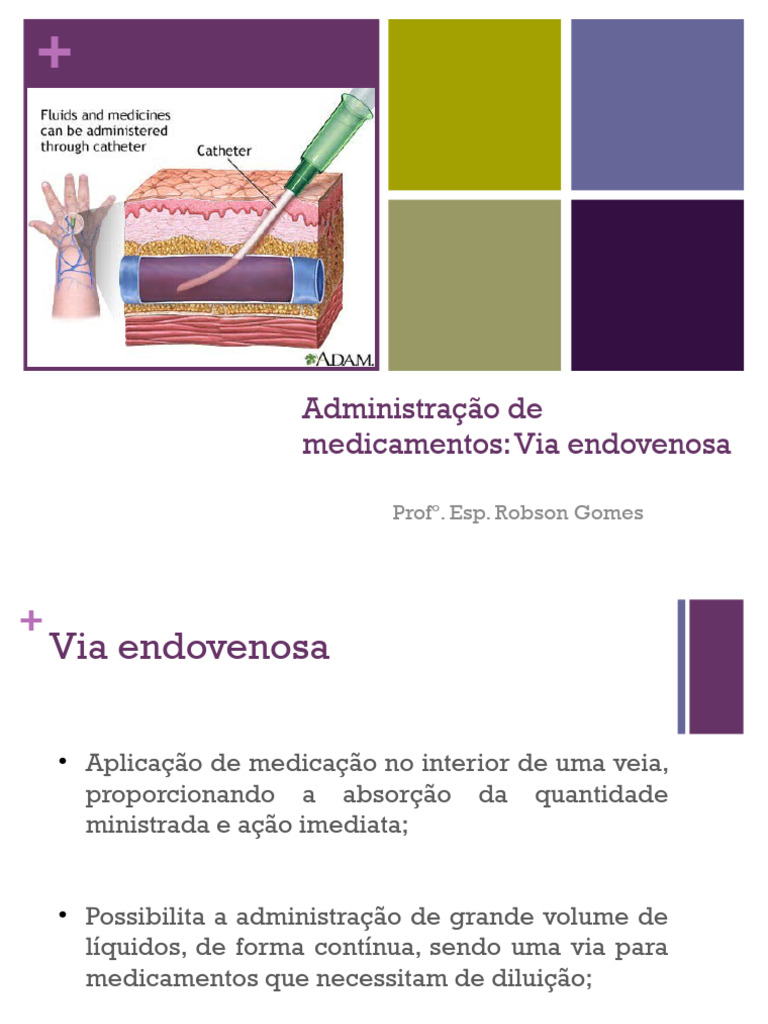 Administração Medicamentos Via Endovenosa | PDF | Veia | Medicina Clínica