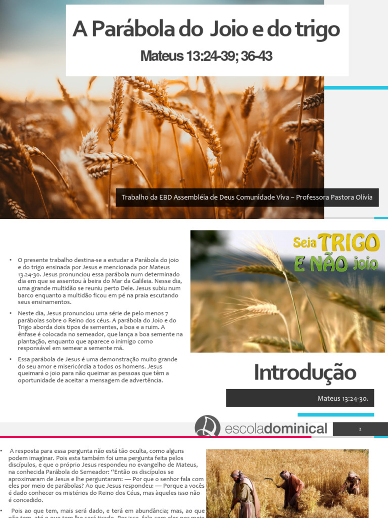 Diferenças entre Joio e Trigo na Parábola | PDF | Jesus | Trigo