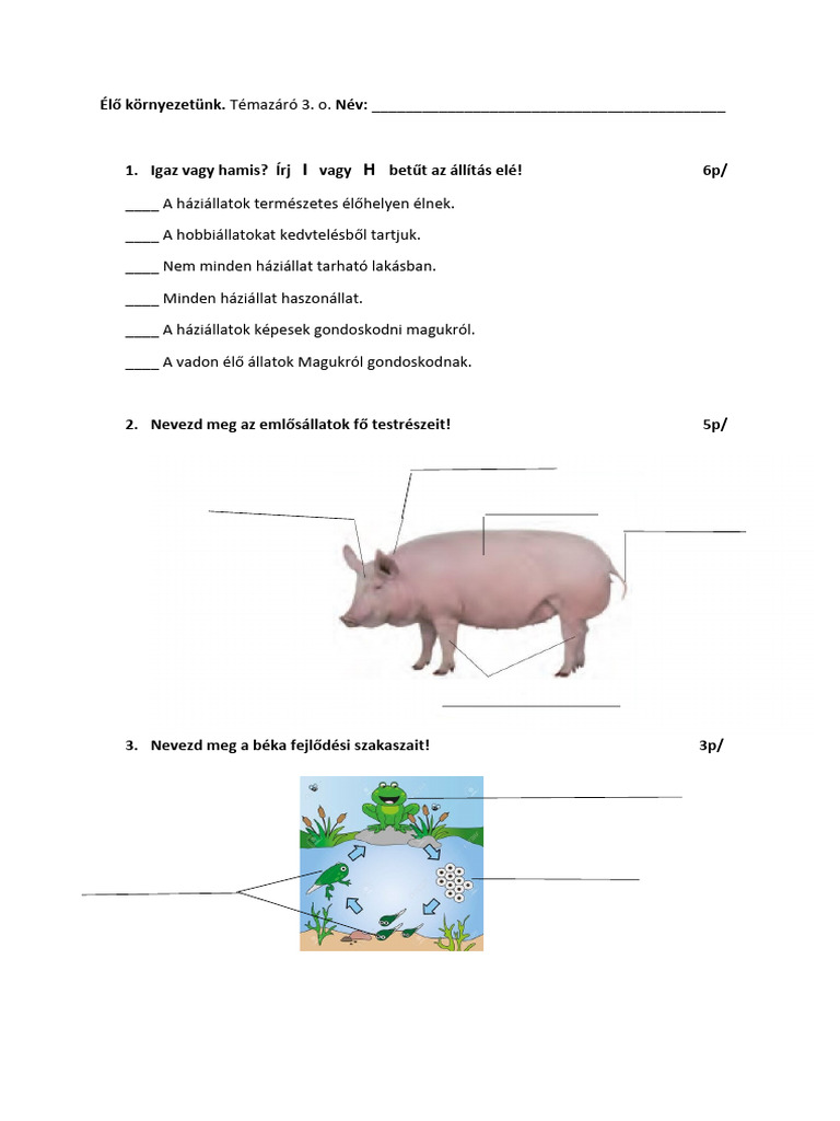 Témazáró Dolgozat 3 Élő Környezetünk | PDF