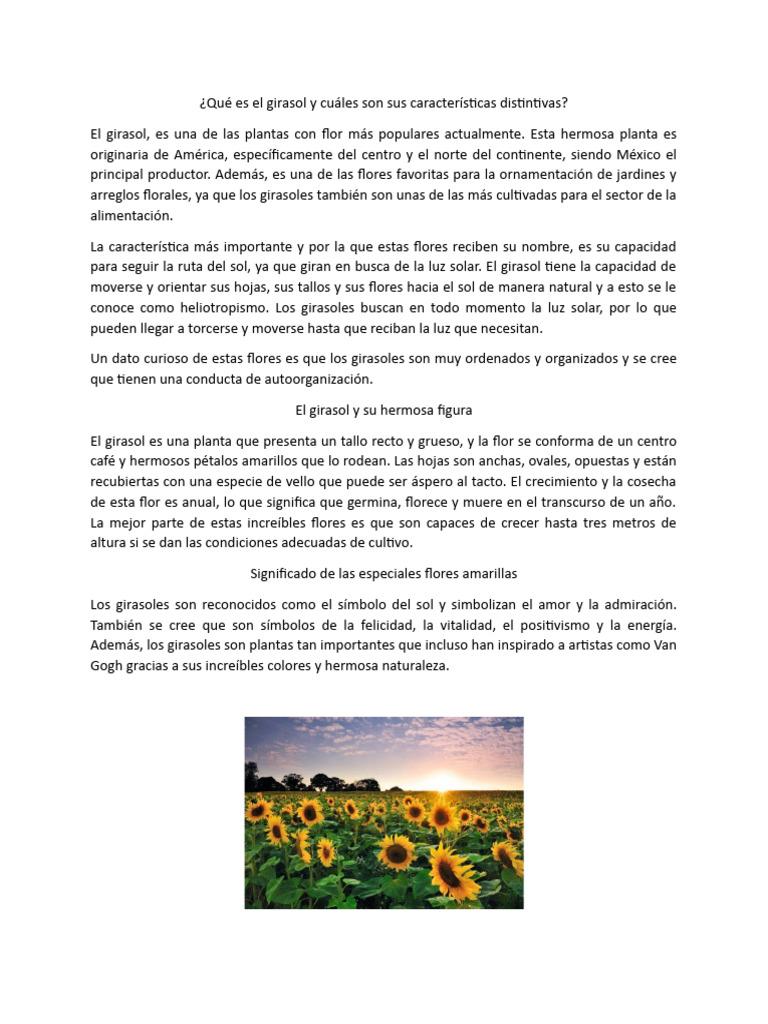 Qué Es El Girasol y Cuáles Son Sus Características Distintivas | PDF