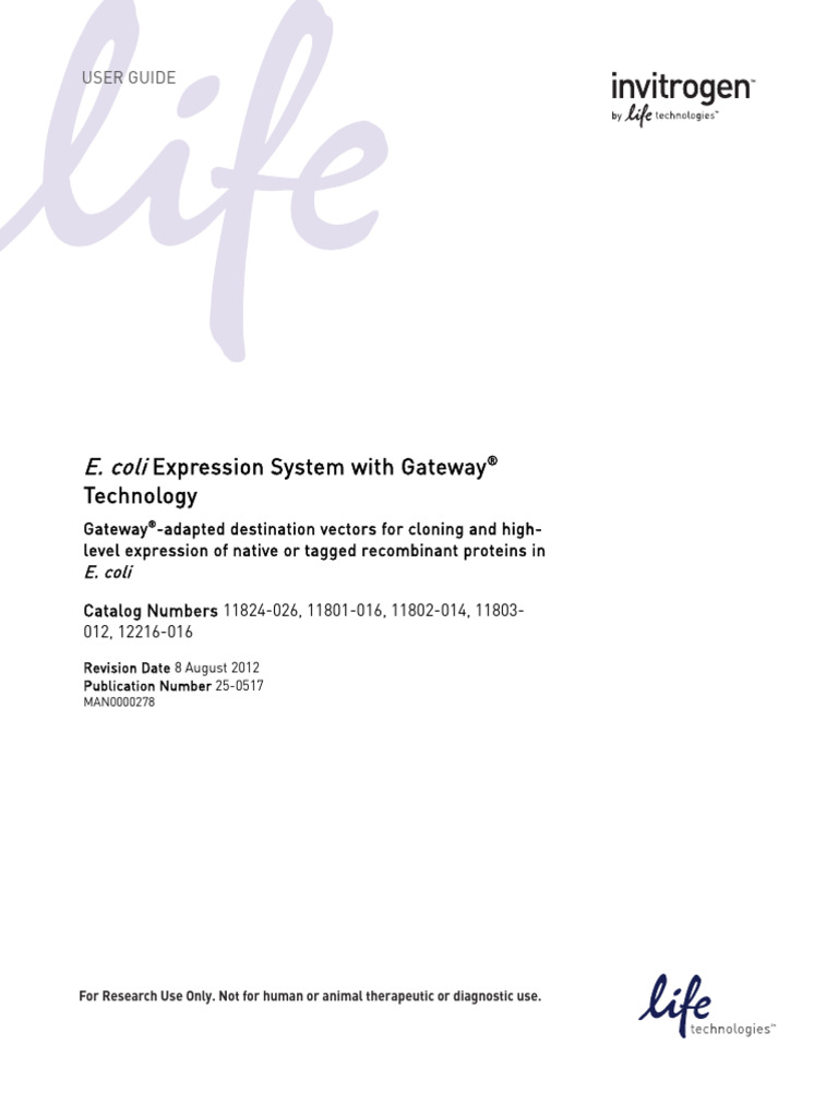 Ecoli Gateway Man | PDF