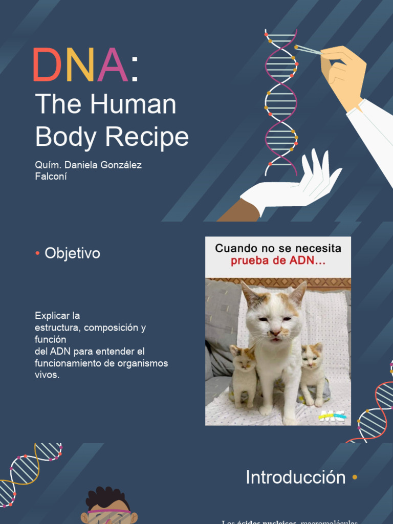 The Human Body Recipe: Quím. Daniela González Falconí | PDF | Rna | Adn