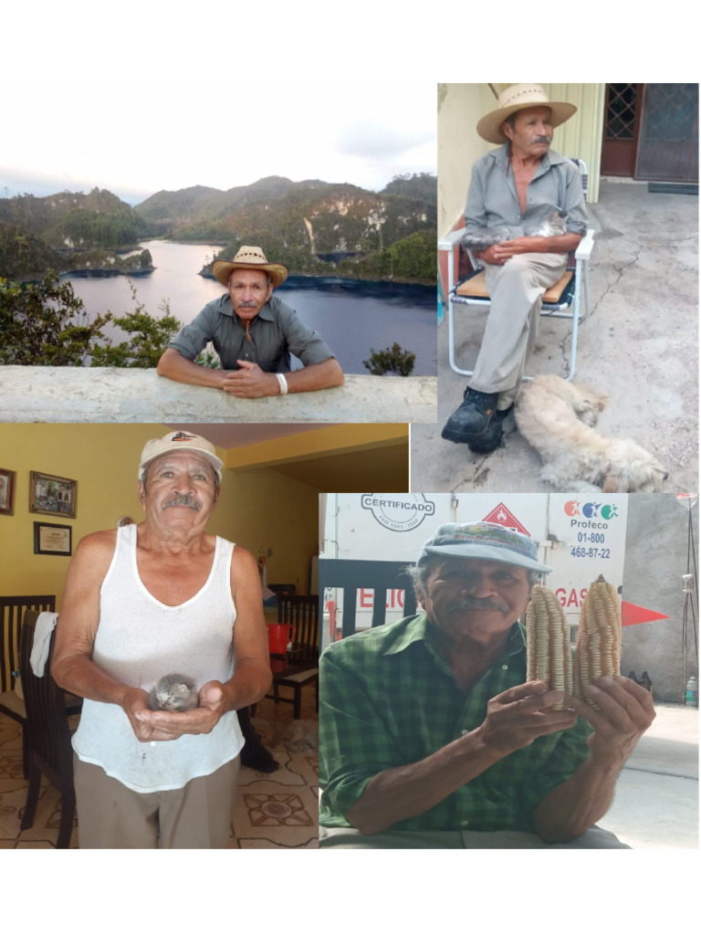 Abuelito | PDF