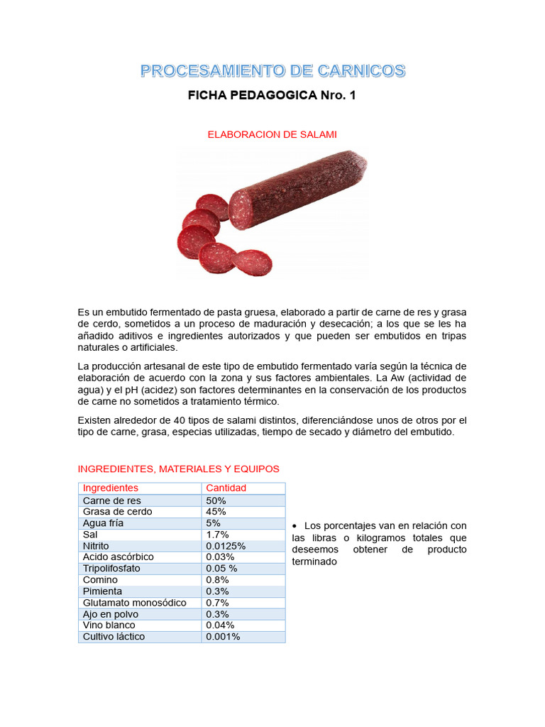 Elaboracion de Salami | PDF