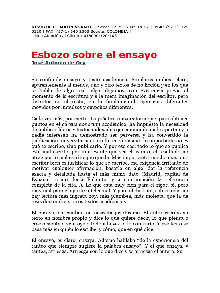 Ensayo Sobre El Ensayo | Descargar gratis PDF | Ensayos | Autor