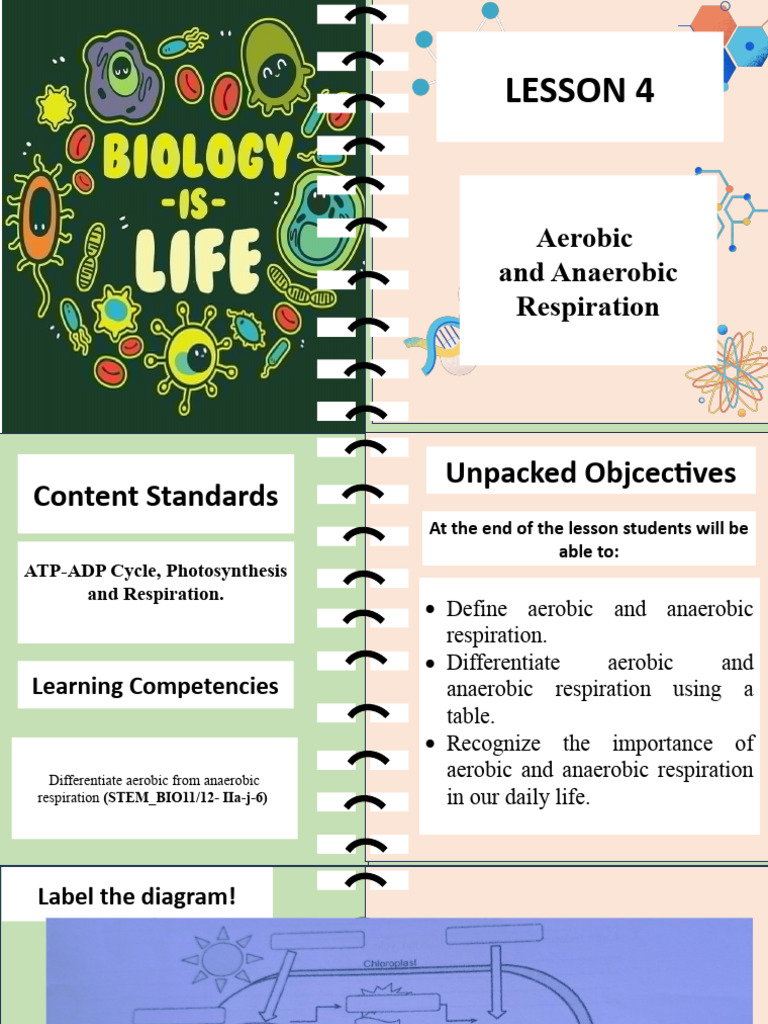Q2 Lesson 4 To Share | PDF | Cellular Respiration | Adenosine Triphosphate