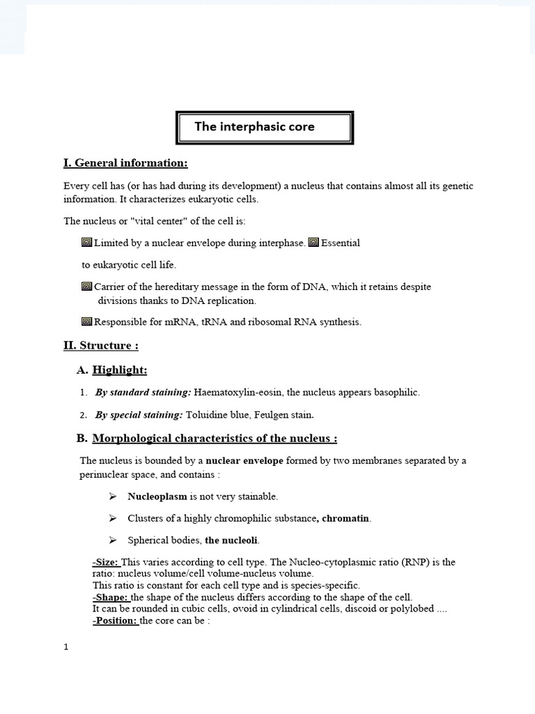 Interphasic Core | PDF | Cell Nucleus | Cell (Biology)