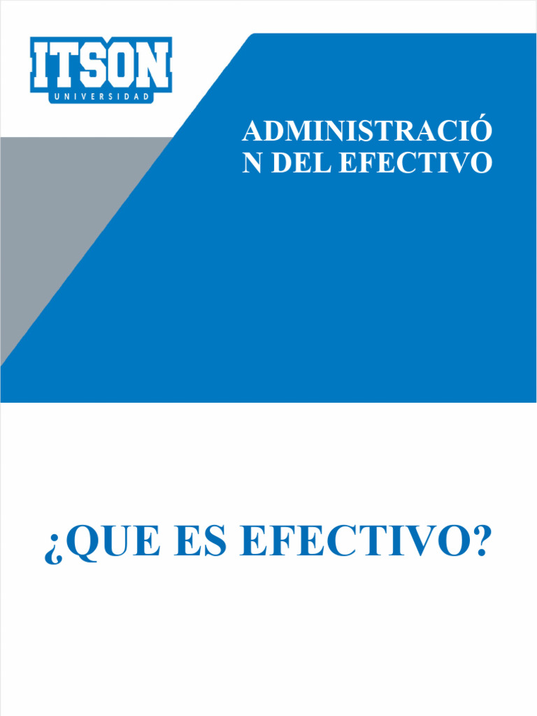 Admon de Efectivo Clase 1 | PDF | Negocios | Derecho