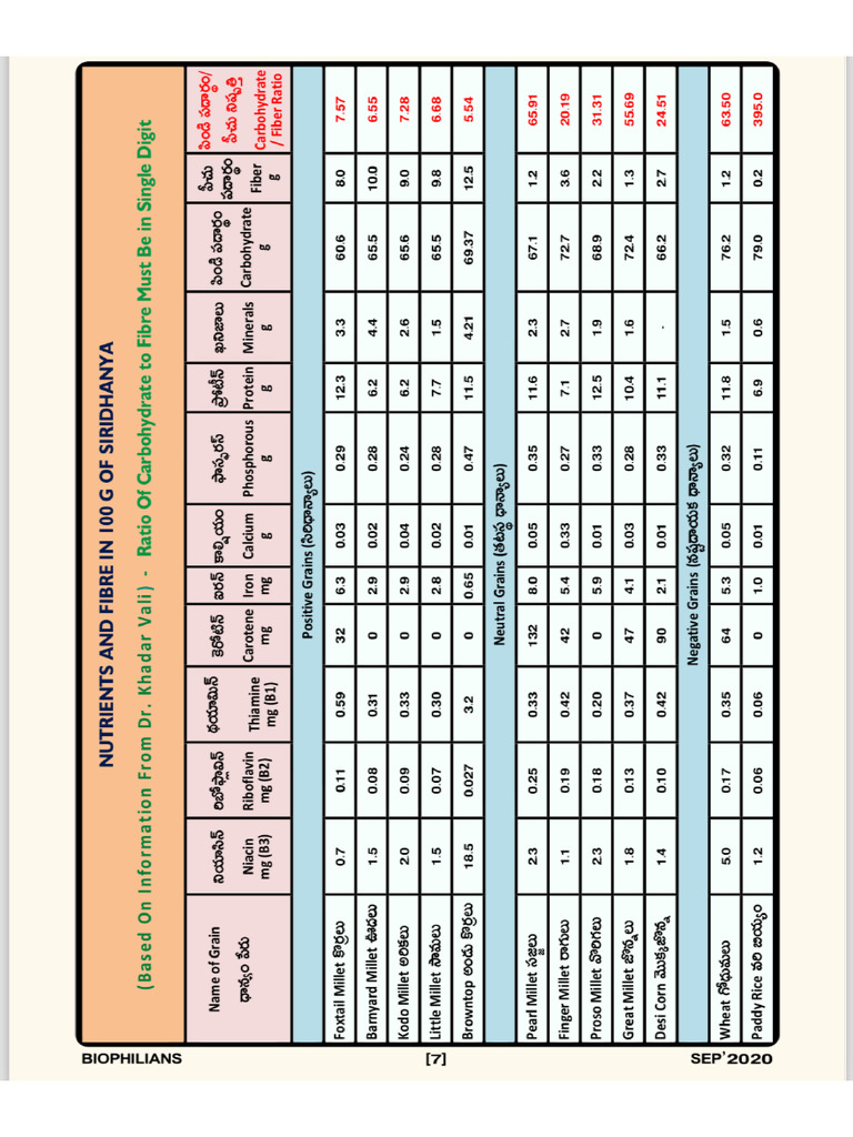 Sirdhanya Protocol Book | PDF