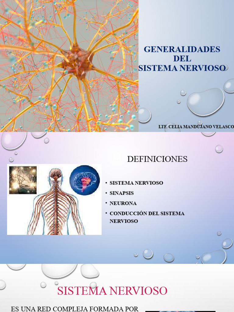 Generalidades Del Sistema Nervioso | PDF | Sinapsis | Neurona