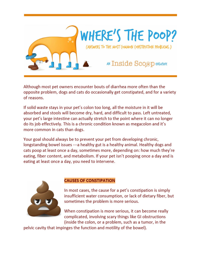 Wheres The Poop | PDF