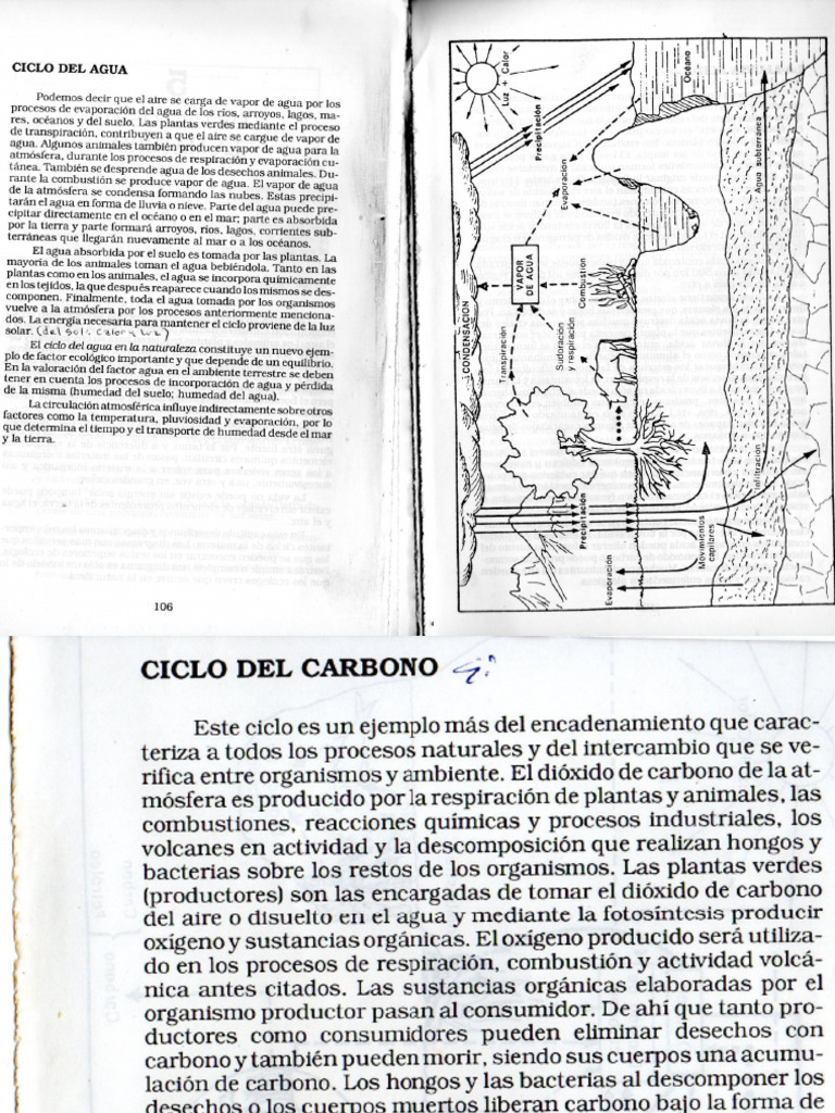 Ciclos de La Materia | PDF