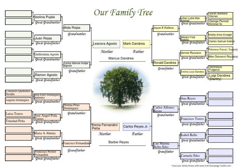 Our Family Tree: Father Mother | PDF