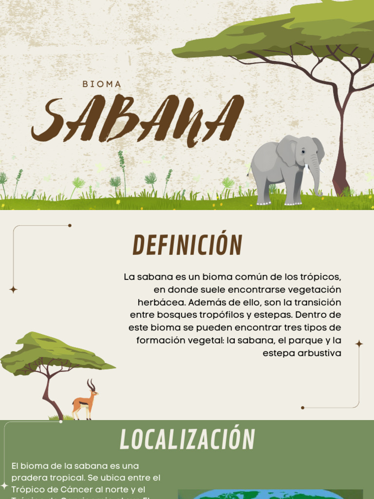 Sabana | PDF