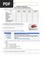 Structure and Function of The Gas Exchange System - Respiration and Gas ...