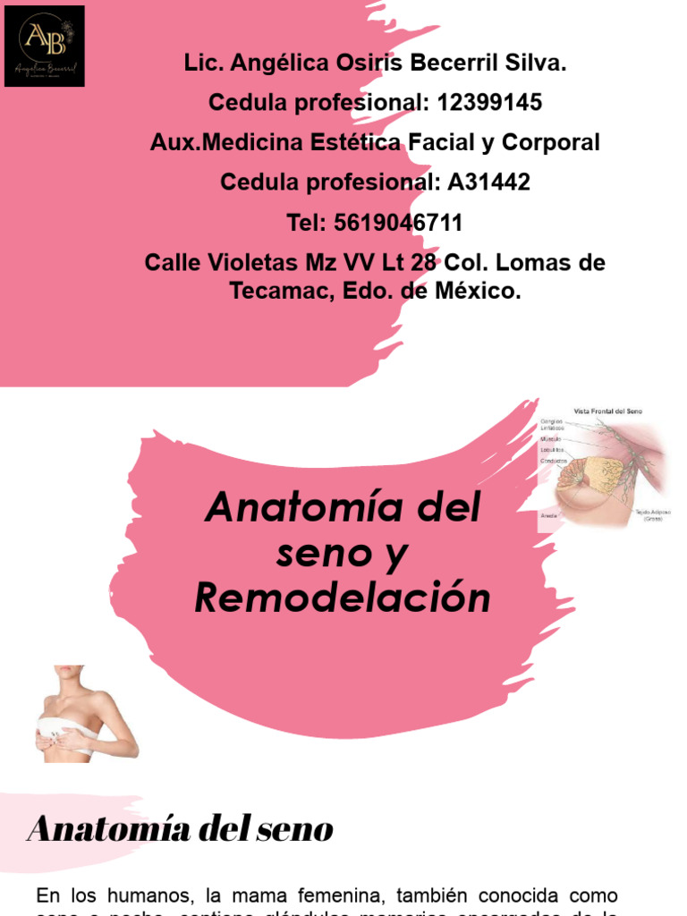 Anatomia Del Seno y Remodelacion | PDF | Pecho | Anatomía