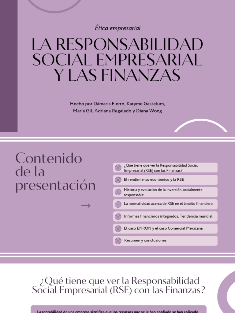 Rse y Las Finanzas | PDF | Crecimiento personal y profesional