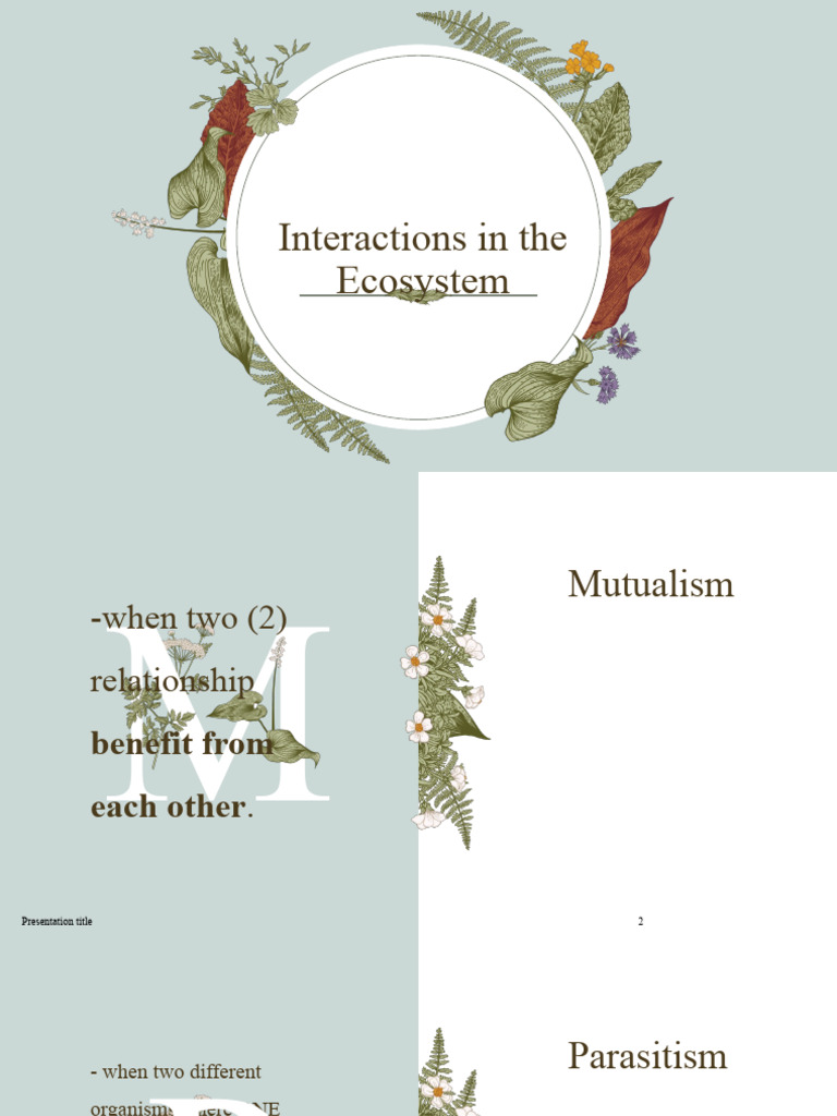 Interactions in The Ecosystem | PDF | Earth Sciences | Biogeochemistry