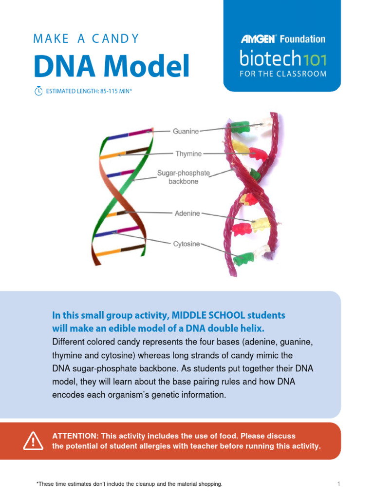 Preteen Activity - Make A Candy DNA Model | PDF