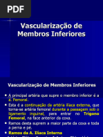 Anatomia da Região Poplítea | PDF | Joelho | Anatomia humana