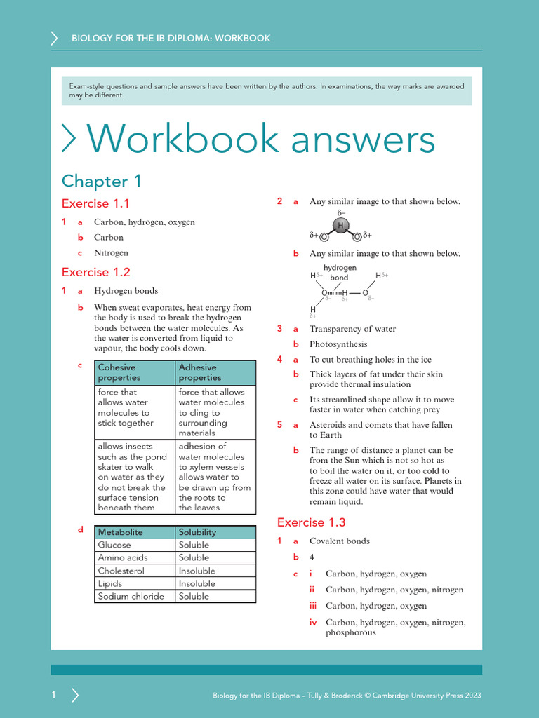 IB BIOLOGY 1ed TR Workbook Answers | PDF | Cellular Respiration ...