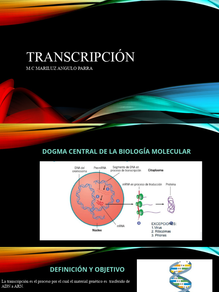 Introducción a la Transcripción Genética | PDF | Ciencia y matemáticas