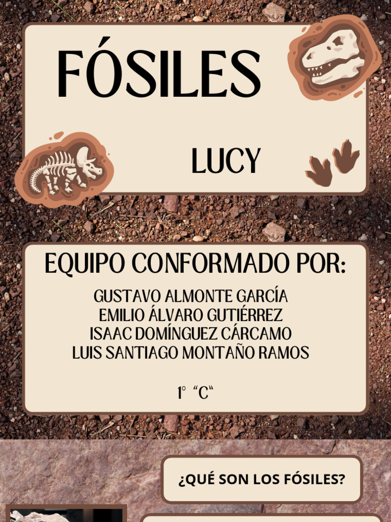 FOSILES | PDF | Lucy (Australopithecus) | Paleontología