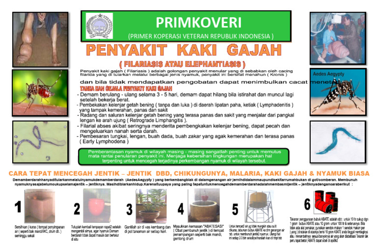 Brosur Primkoveri Kaki Gajah 3 | PDF