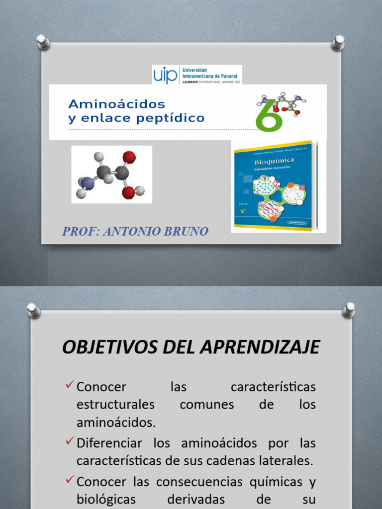 Aminoã Cidos Ii | PDF | Aminoácidos | Proteínas