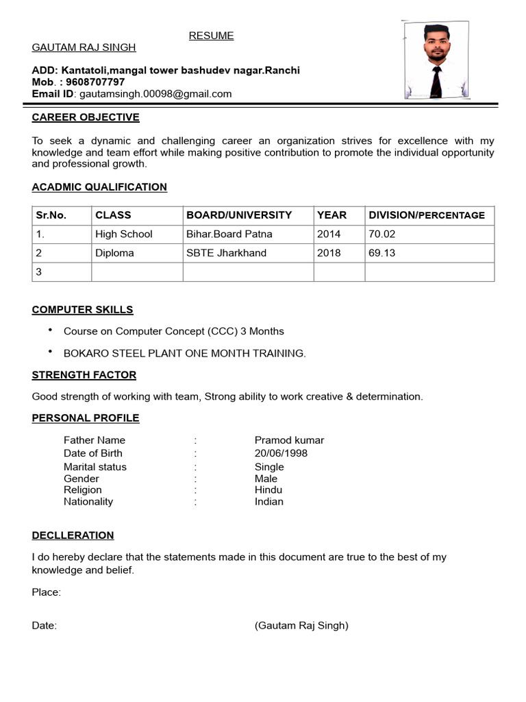 Professional Resume | PDF
