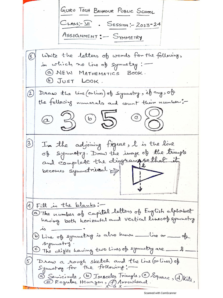 Class Vi Maths Symmetry Assignment Questions | PDF
