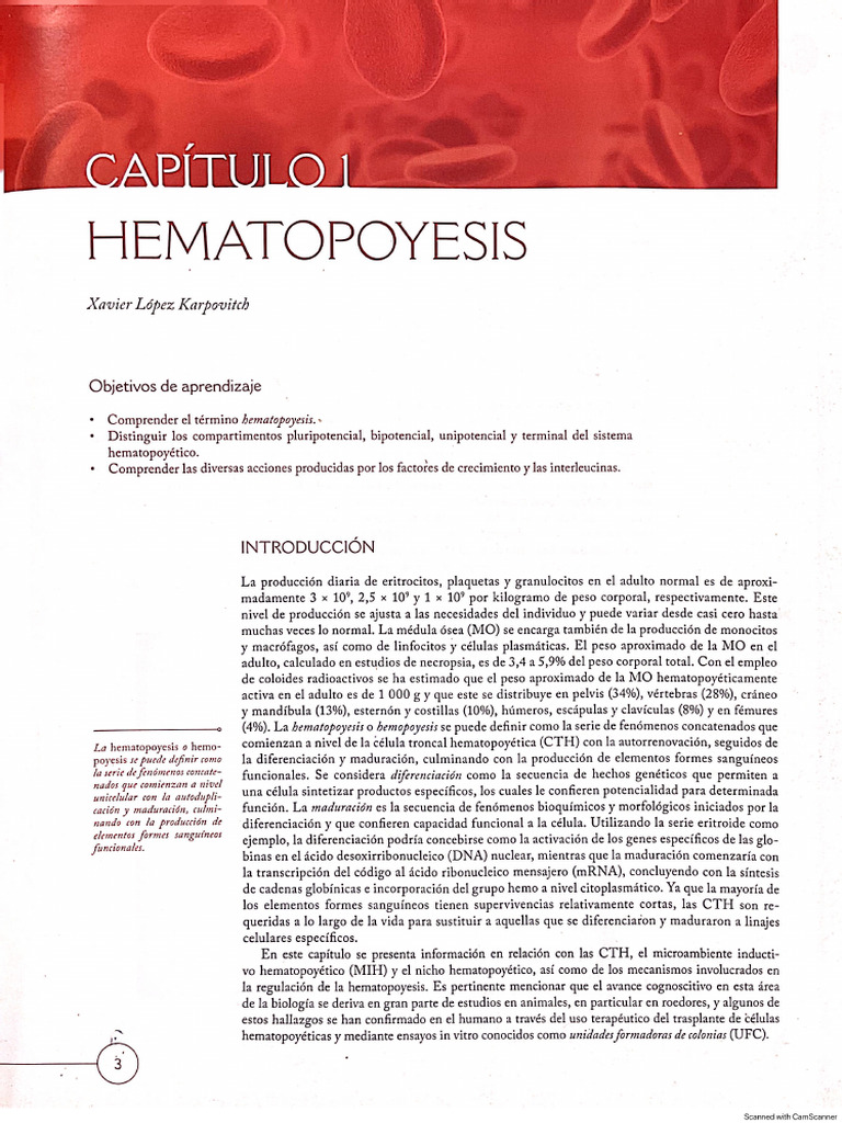 Capítulo 1 Hematopoyesis Pdf