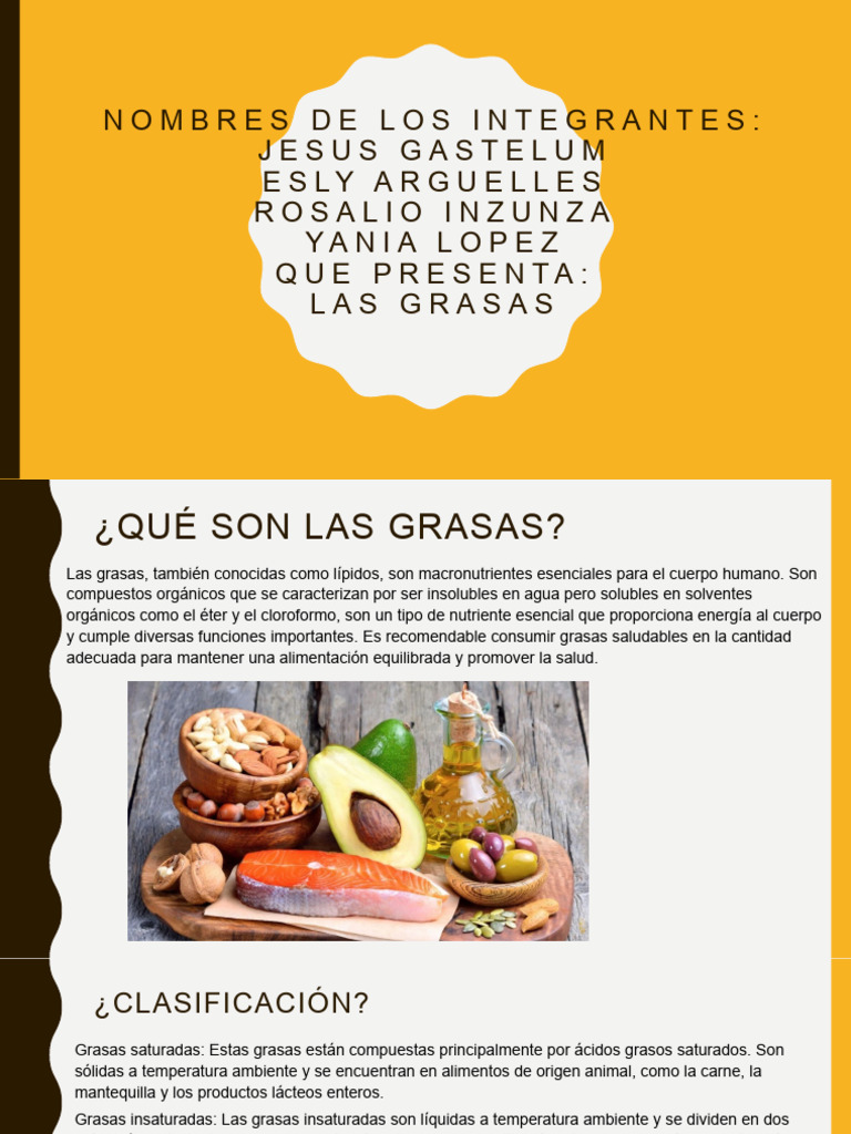 Las Grasas | PDF | gordo | Digestión