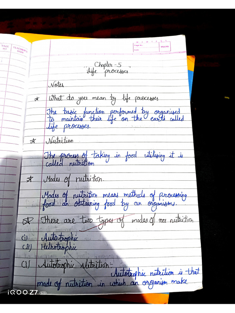 Class 10 Bio Chapter Life Processes | PDF