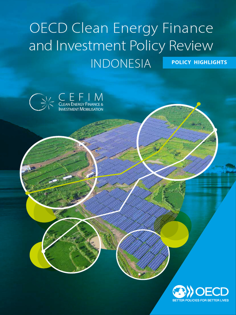 Clean Energy Finance and Investment Policy Review of Indonesia Policy ...