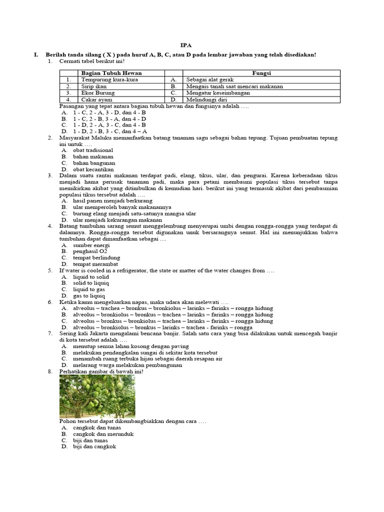Soal Latihan Seleksi Lomba Siswa Berprestasi (Sispres) SD | PDF