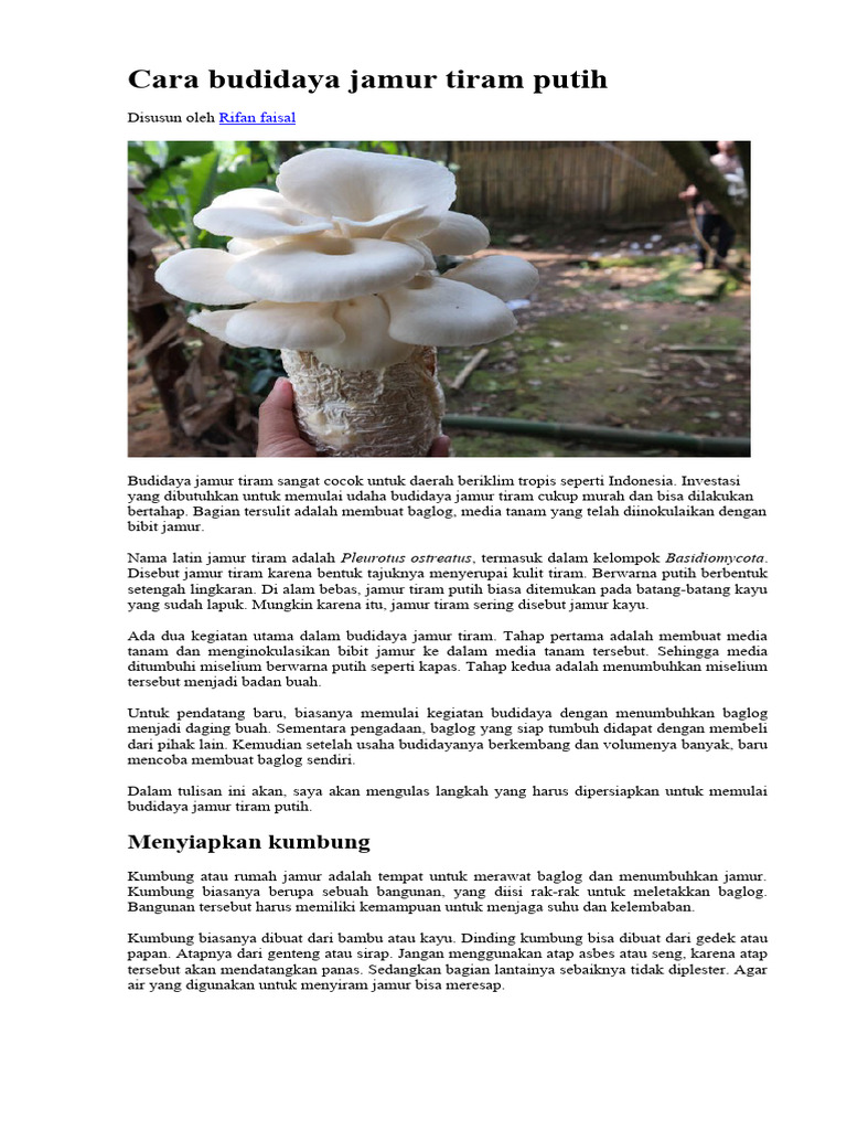 Cara Budidaya Jamur Tiram Putih | PDF